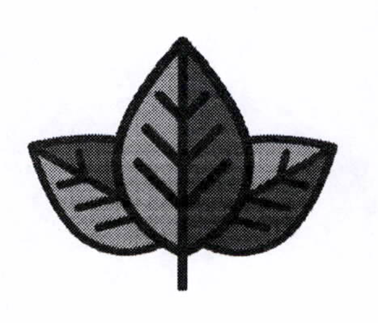 Canadian Trademarks Details: Holistic Thingz Logo — 1978076 — Canadian ...
